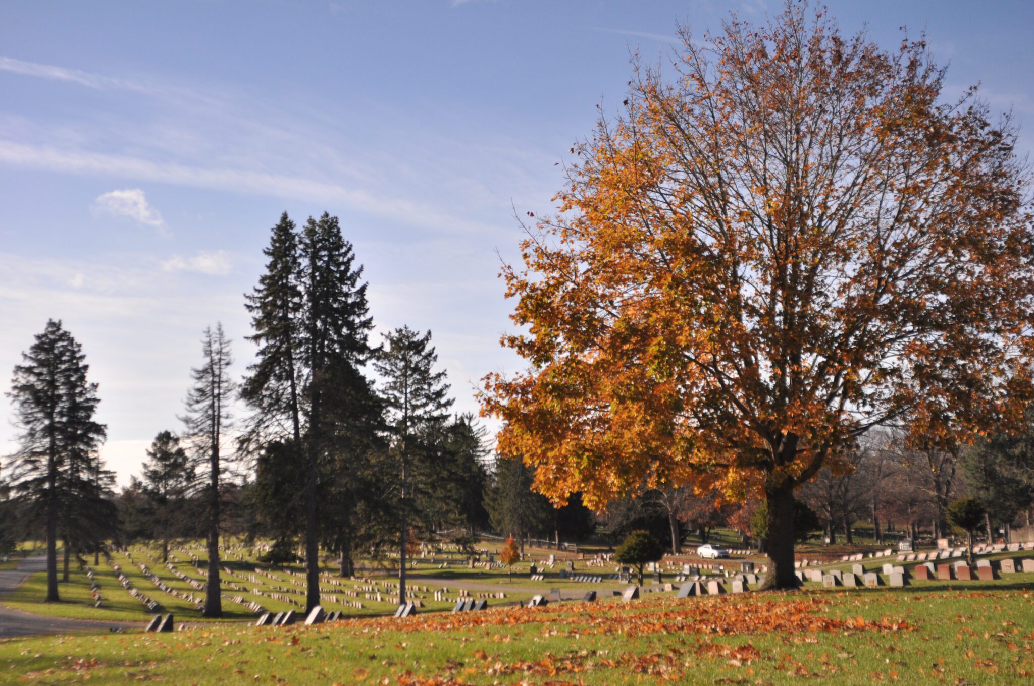 St. John Catholic Cemetery – Jackson, MI
